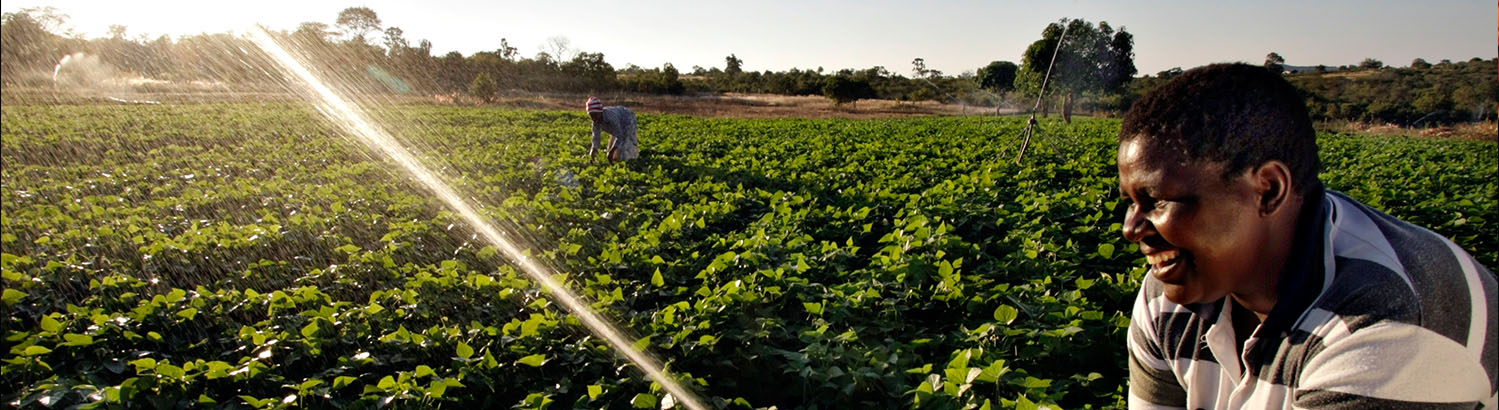 Corporate Citizenship | RioZim